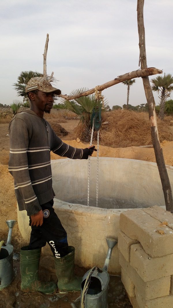 Madior Niang - Jardins d'Afrique